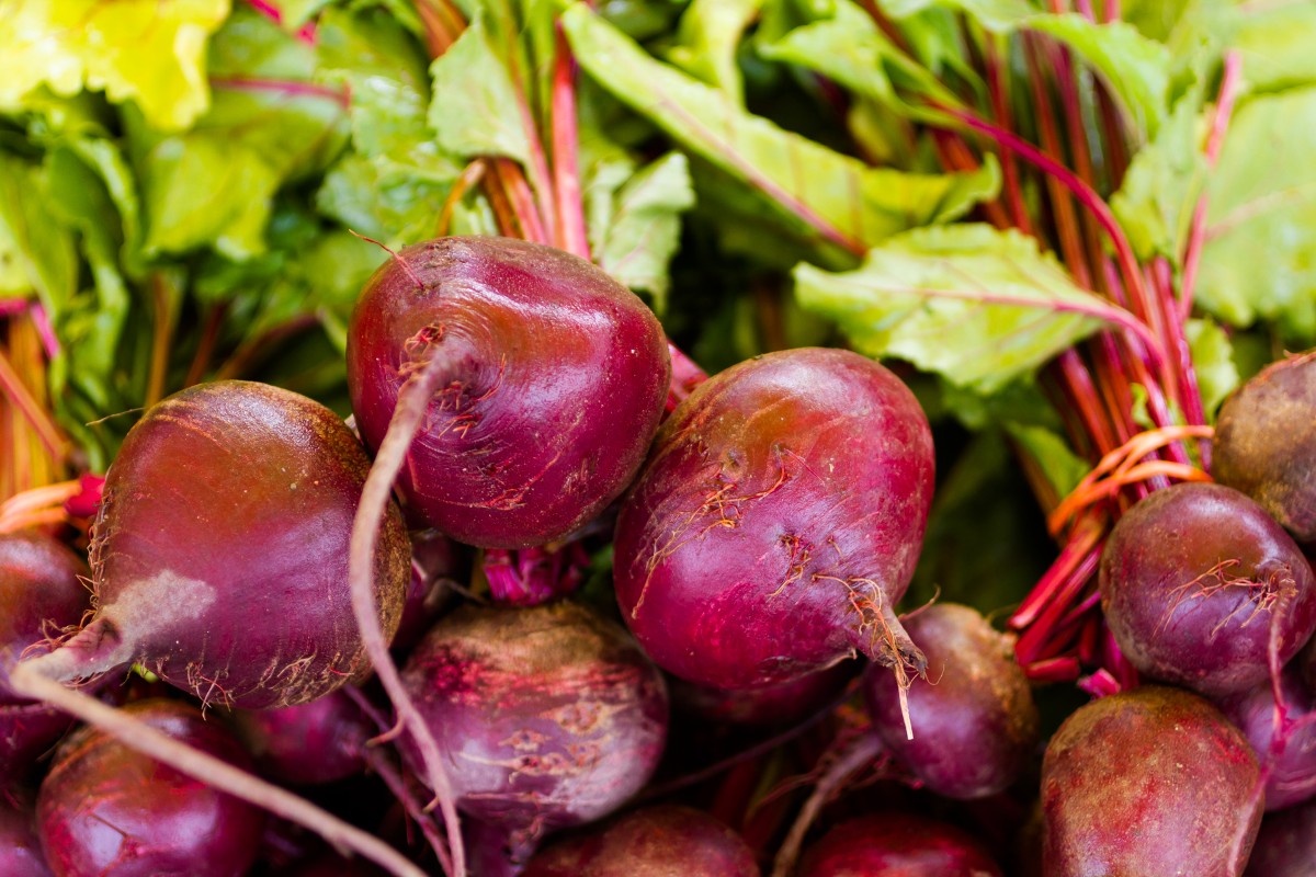 La betterave, un superaliment aux multiples bienfaits - Healthie Hour