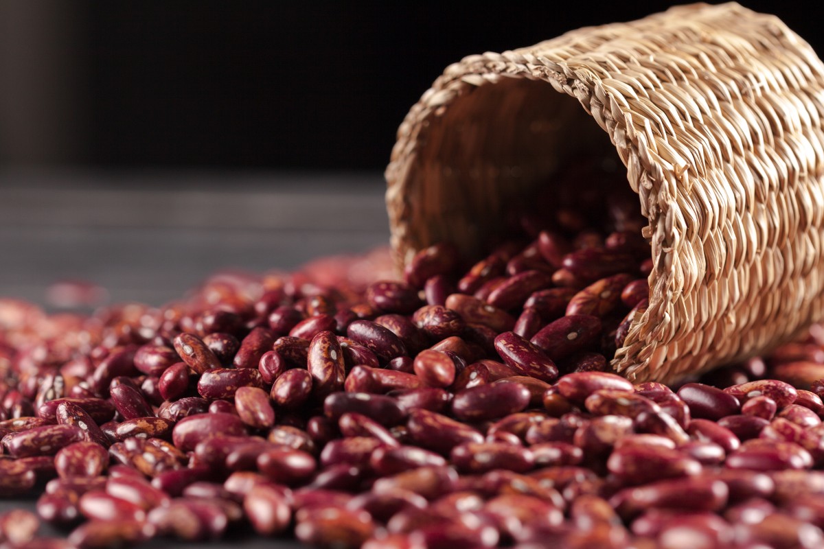 Les haricots rouges : un aliment clé pour une alimentation équilibrée ...